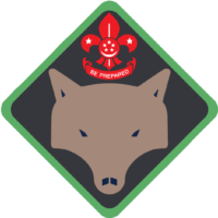 Cubs (7-12 years) - Scout SG