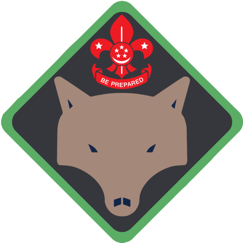 Cubs (7-12 years) - Scout SG