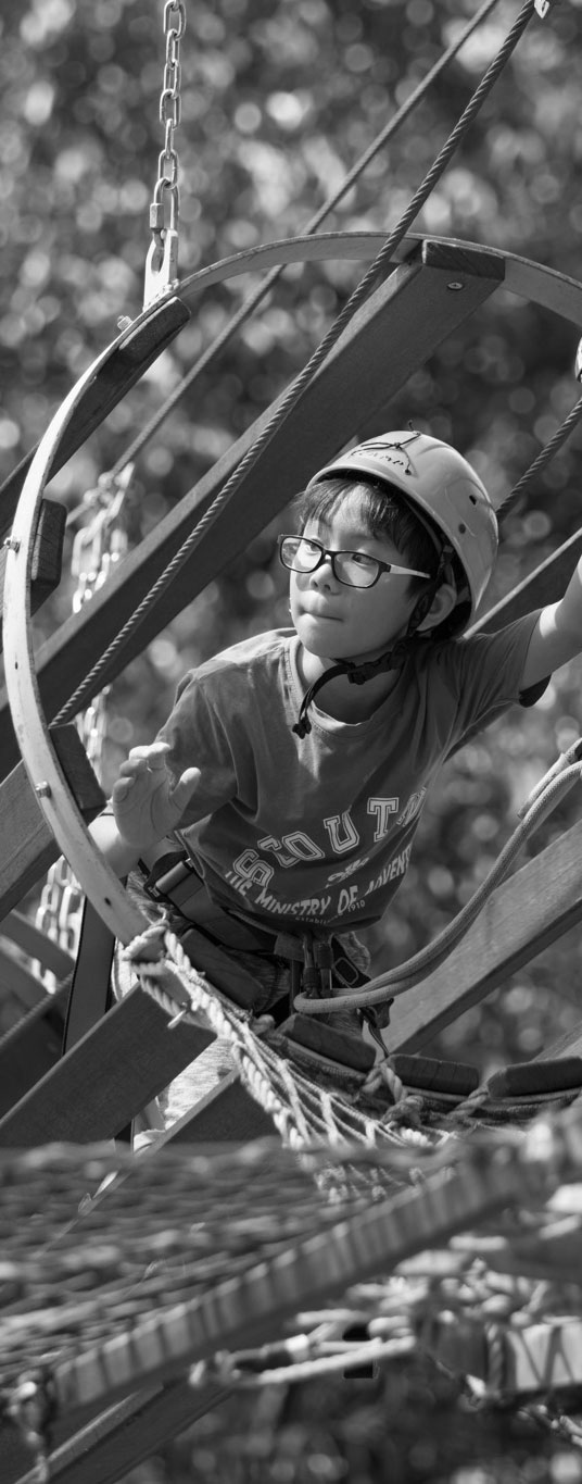 Cubs (7-12 years) - Scout SG