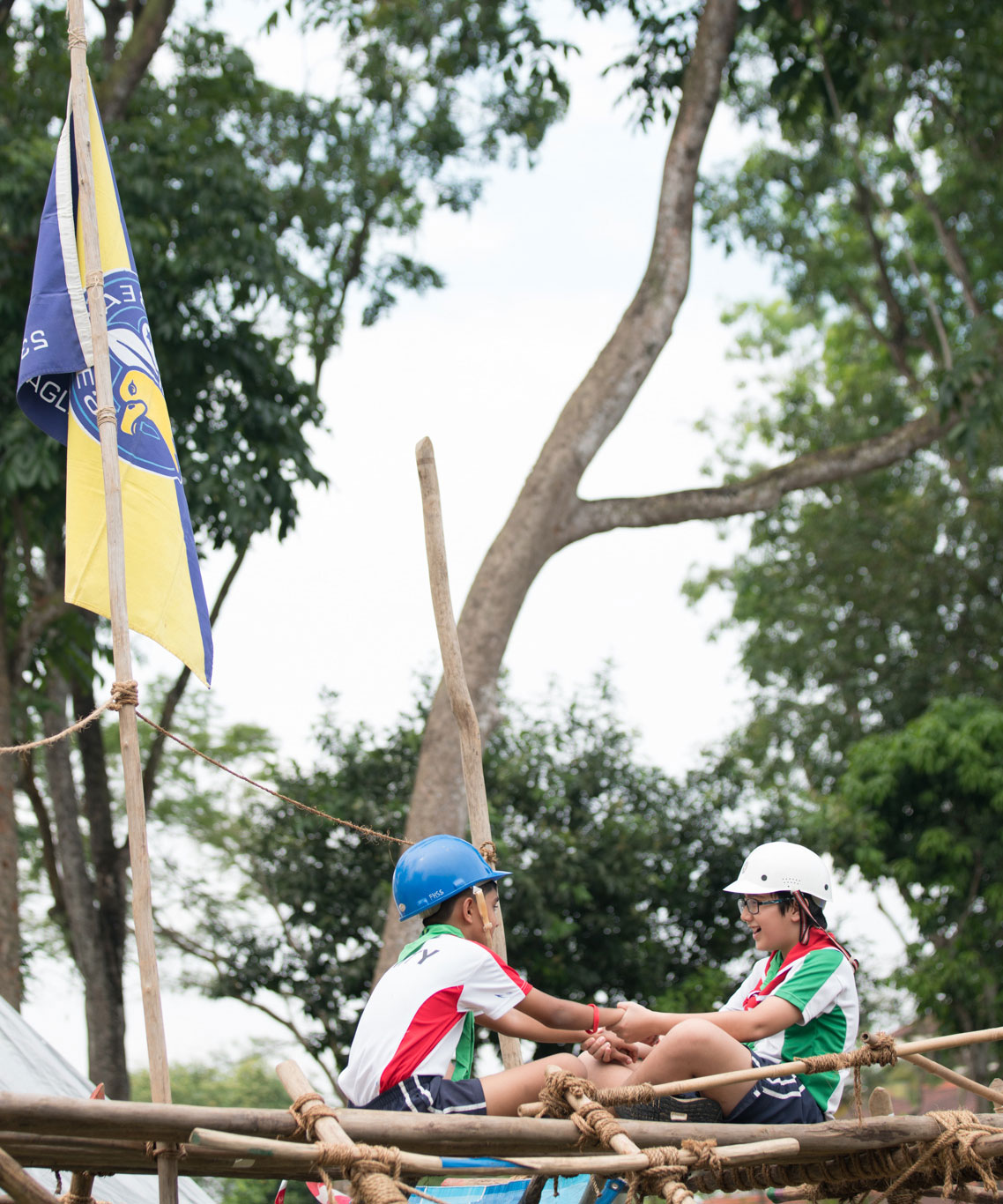 Cubs (7-12 years) - Scout SG