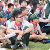 About SSA - Scout SG