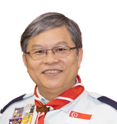 Bronze Wolf Award - Scout SG