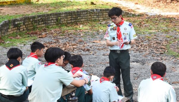 Adults (21+years) - Scout SG