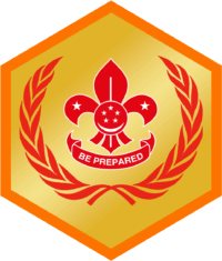 Cubs (7-12 years) - Scout SG