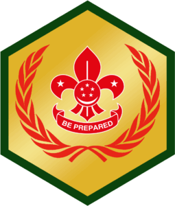 Scouts (13-16 years) - Scout SG