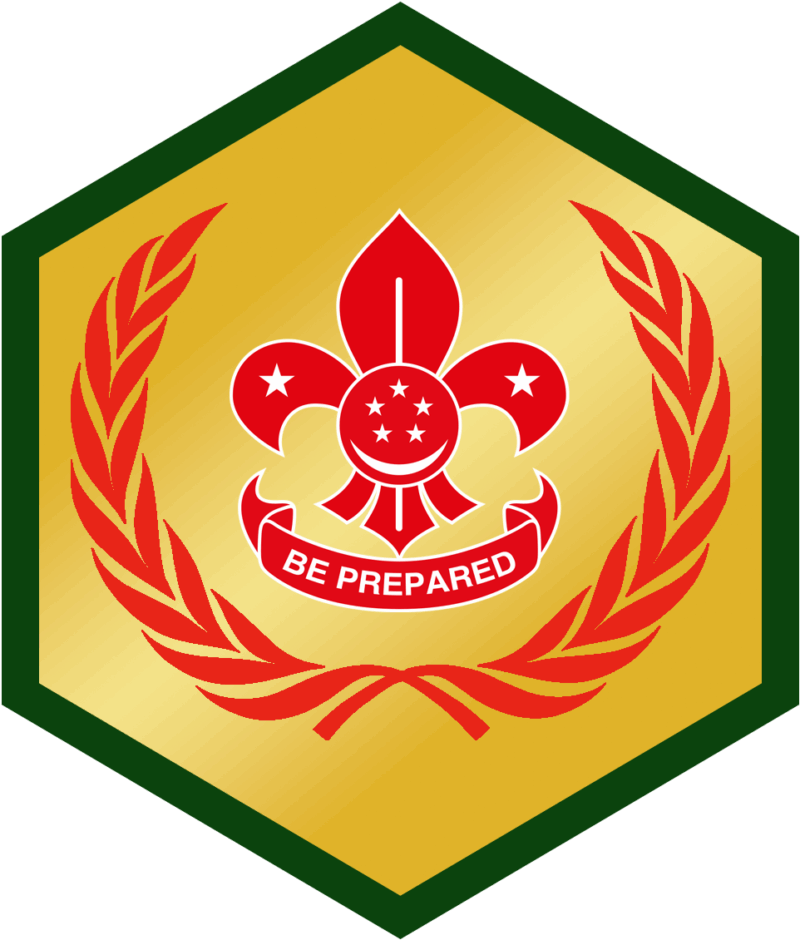 Scouts (12-16 years) - Scout SG