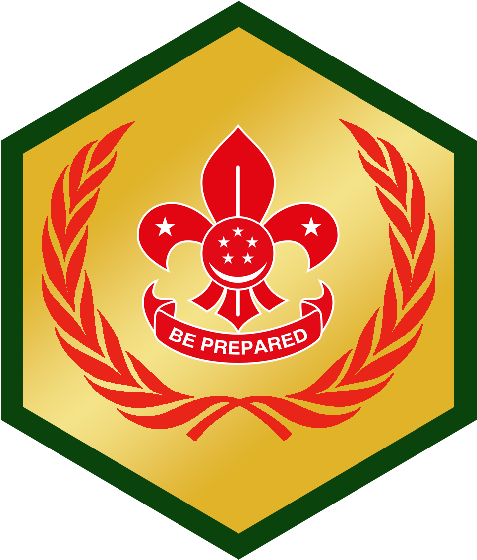 Scouts (12-16 years) - Scout SG